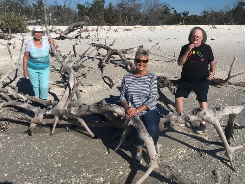 Marco Island: Ten Thousand Islands Shelling & Dolphin Tour - Who Should Consider This Tour?