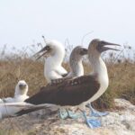 Marietas Hidden beach trip from Puerto Vallarta - What’s Included and What’s Not