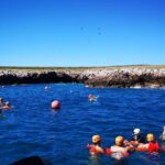 Marietas Islands Snorkel Tour & Hidden Beach - What to Expect at the Islands