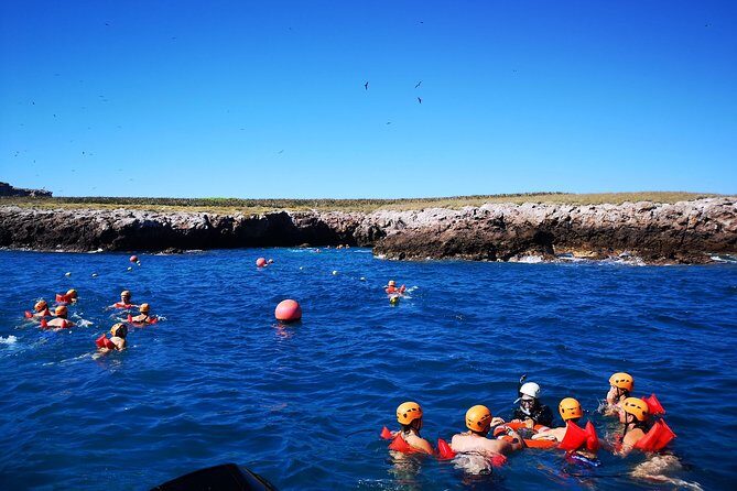 Marietas Islands Snorkel Tour & Hidden Beach - What to Expect at the Islands