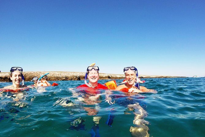 Marietas Islands snorkeling & Hidden beach (w/ restrictions) - What Makes This Tour Stand Out?