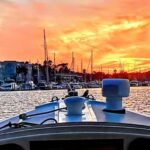 Marina Del Rey: Romantic Cruise, Wine, Cheese, Sealions - What to Expect During Your 2-Hour Tour