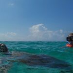 Marine Turtle Snorkeling Private Tour - Why This Tour Stands Out
