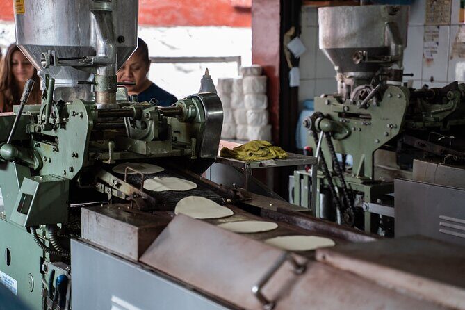 Market Visit and Mexican Cooking Class - Who Would Love This Tour?