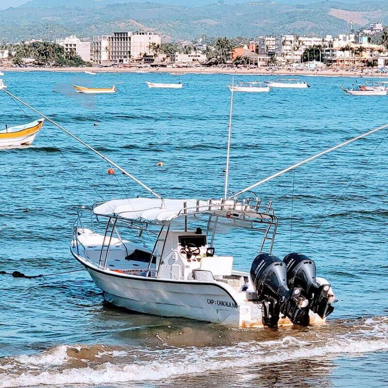 Marlin fishing in guayabitos - What to Expect from This Guayabitos Fishing Tour