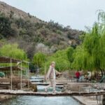 Marrakech: Ourika Valley, Atlas Mountains, Waterfall Hike & Lunch - The Waterfalls at Setti Fatma