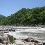 Marshall: French Broad Whitewater River Rafting Experience - Who Will Love This Experience?