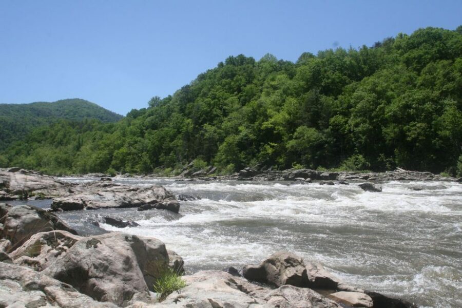 Marshall: French Broad Whitewater River Rafting Experience - Who Will Love This Experience?
