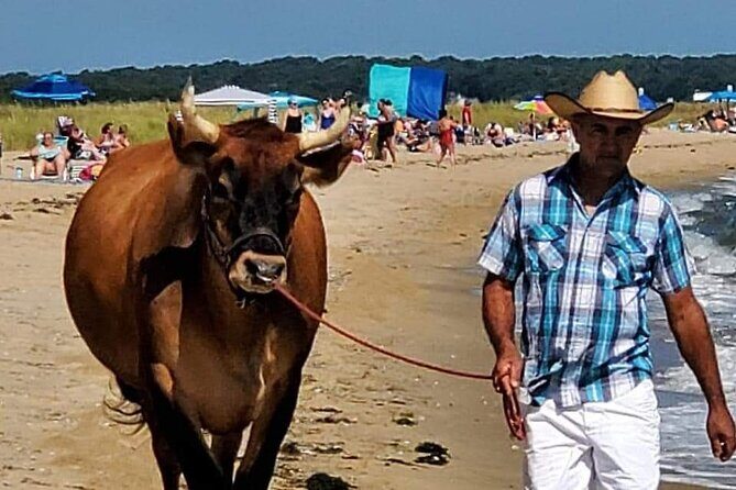 Martha Vineyard Bus Tour - What’s Included and What to Expect