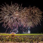 Martha's Vineyard: All Island Tour - Authentic Experiences and Honest Reviews
