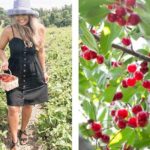 Mattituck Bike Wine Country and Fruit Orchard Tour - Who Should Consider This Tour?