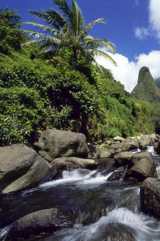 Maui: Custom Elite Tour with Escalade & Meals - Building Your Day