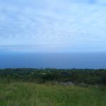 Maui: East Side Hiking Tour - The Practicalities: Cost, Timing, and Group Dynamics