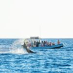Maui: Guided Whale Watching Tour on Eco Raft - Listening to Whales with Hydrophones