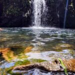 Maui: Halfway to Hana Black Sand Beach & Turtles Tour - An In-Depth Look at the Tour Experience