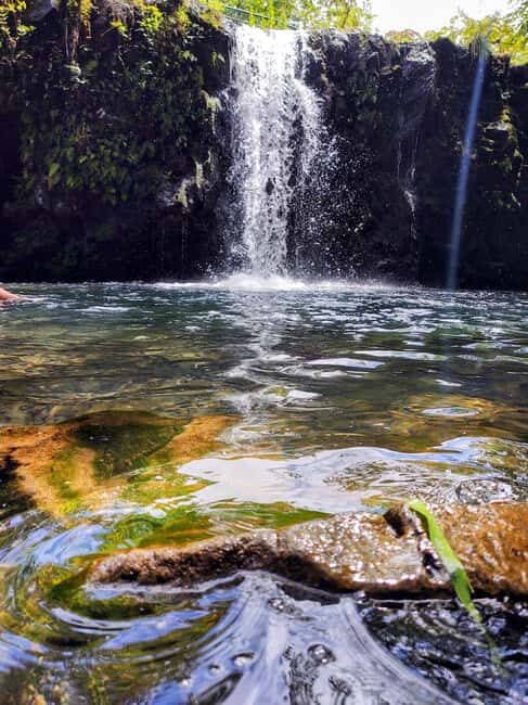 Maui: Halfway to Hana Black Sand Beach & Turtles Tour - An In-Depth Look at the Tour Experience