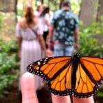 Maui: Interactive Butterfly Farm Entrance Ticket - Why It Works for Different Travelers