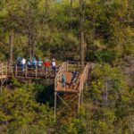 Maui: Ka'anapali 8 Line Zipline Adventure - The Experience on the Ground: Reviews in Action
