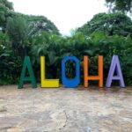 Maui: Kahului Airport (OGG) Traditional Lei Greeting - What the Greeting Includes