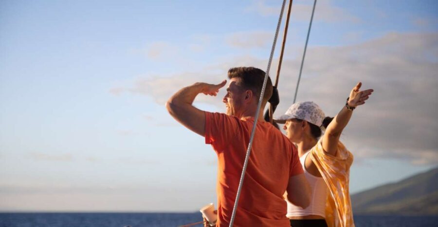 Maui: Morning Sail with the Whales Ma'alaea - Is It Worth the Price?