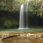 Maui part-way to Hana North Shore sightseeing & Photography Tour! - The Experience: What We Love and What to Consider