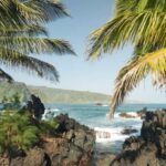 Maui: Private Road to Hana Rainforest and Waterfall Tour - The Day in Detail
