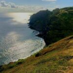 Maui: Private Road to Hana Tour with Meals - The Food: Taste of Hawaii