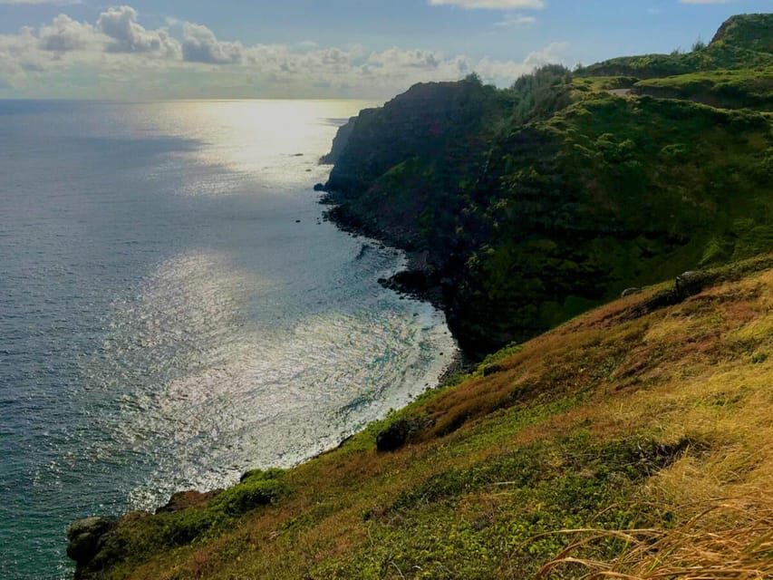 Maui: Private Road to Hana Tour with Meals - The Food: Taste of Hawaii