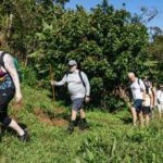 Maui: Rainforest Waterfalls Guided Hike with Picnic Lunch - Who Will Love This Tour?