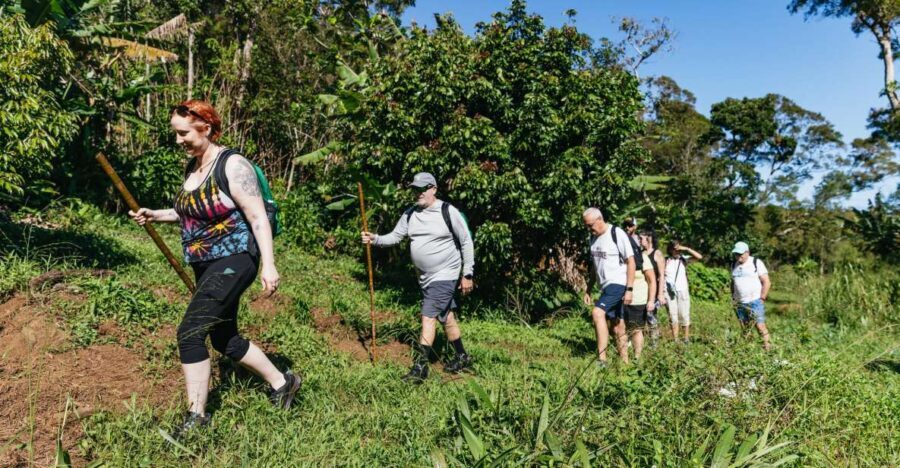 Maui: Rainforest Waterfalls Guided Hike with Picnic Lunch - Who Will Love This Tour?