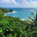 Maui: Road to Hana Sightseeing Tour - Analyzing the Value