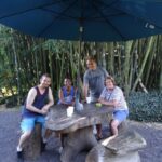 Maui: Road to Hana Waterfalls Tour with Lunch - The Practicalities: What You Need to Know