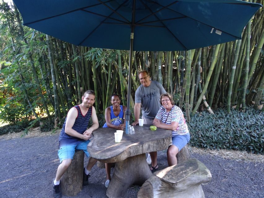 Maui: Road to Hana Waterfalls Tour with Lunch - The Practicalities: What You Need to Know