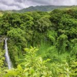 Maui: Small-Group Road to Hna Sightseeing Tour - Why This Tour Offers Great Value