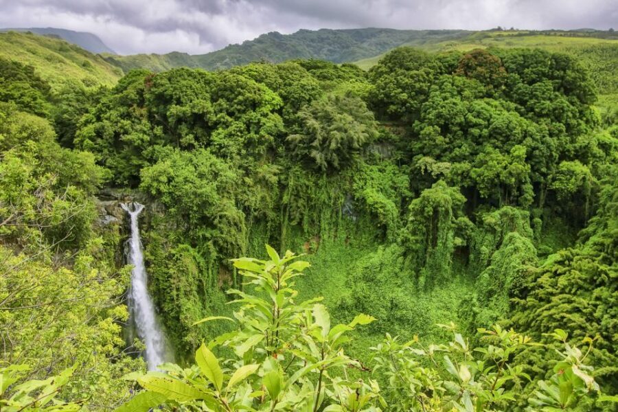 Maui: Small-Group Road to Hna Sightseeing Tour - Why This Tour Offers Great Value