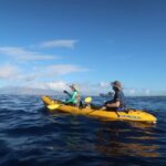 Maui: Turtle Town Kayak and Snorkel Tour - FAQ