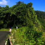 Maui: West Maui Tour with Breakfast and Lunch - What Travelers Say About This Tour