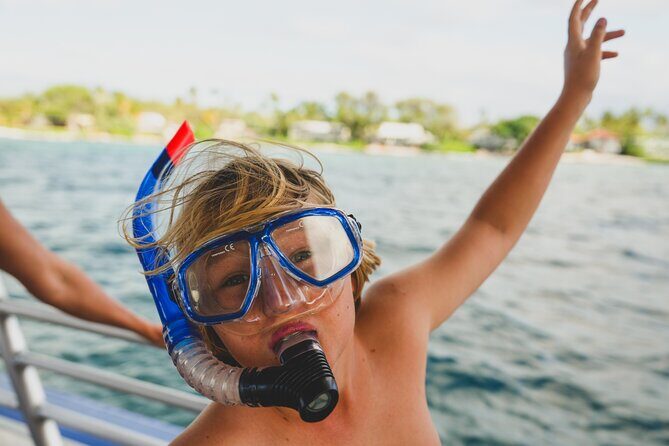 Mauna Kea 3hr Two Stop Sealife Snorkel Adventure - Who Should Consider This Tour?