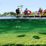 Mayan Adventure from Cancun - Authenticity and Value