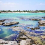 Mayan Adventure: Snorkel in Cove, Cenotes & Underground River - Practical Tips for Future Participants
