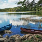 Mayan Adventure to Coba and Cenote and Punta Laguna from Valladolid - What Makes This Tour Stand Out?
