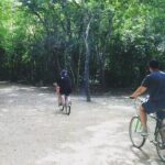 Mayan Jungle Adventure (Private, Full Day) - Who Is This Tour Best For?