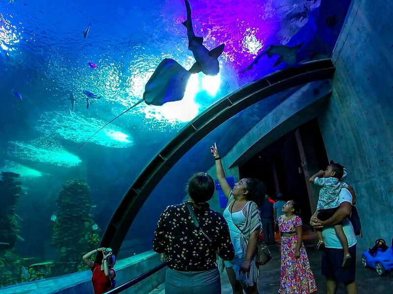 Mazatlan: Grand Aquarium Ticket and City Sightseeing Tour - The Aquarium: Marine Life and Interactive Exhibits