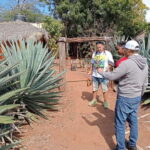 Mazatlan: Mezcal Factory Tour with Tasting and Lunch - Final Thoughts: Is This Tour Worth It?