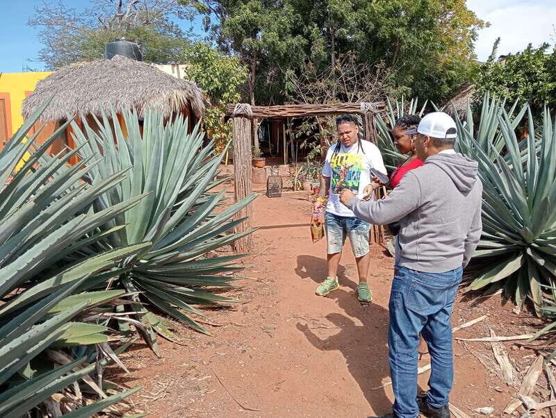 Mazatlan: Mezcal Factory Tour with Tasting and Lunch - Final Thoughts: Is This Tour Worth It?