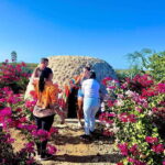 Mazatlan: Temazcal Experience with Lunch and Transportation - The Temazcal Experience: Rituals and Realities