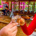 Mazatlán: Tequila Factory & Country Sightseeing - What Travelers Are Saying