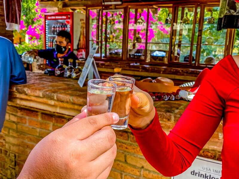 Mazatlán: Tequila Factory & Country Sightseeing - What Travelers Are Saying