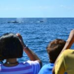 Mazatlán: Whale-Watching Boat Tour with Marine Experts - Who Should Consider This Tour?