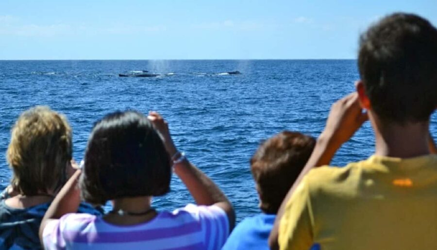 Mazatlán: Whale-Watching Boat Tour with Marine Experts - Who Should Consider This Tour?
